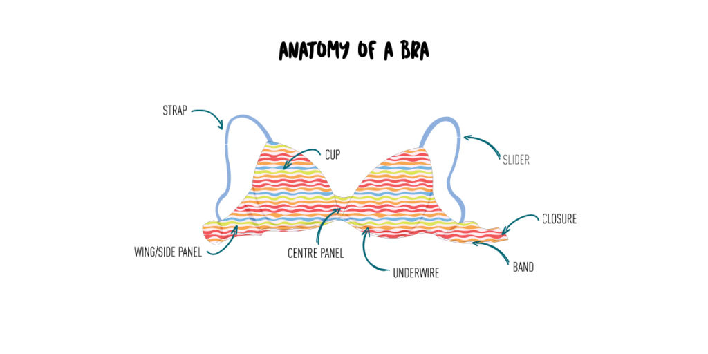 Bra Anatomy - Understanding Of Bra Components | Zivame