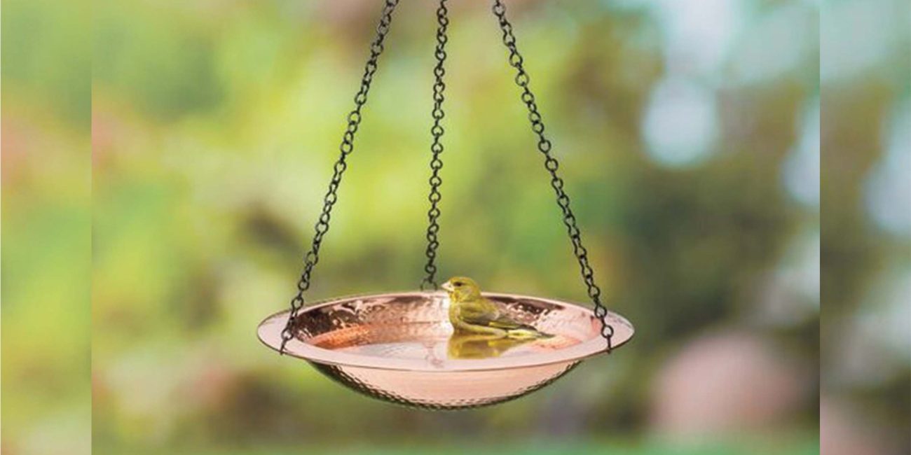 5 DIY Ways To Set Up A Bird Bath In Your Balcony - Zivame